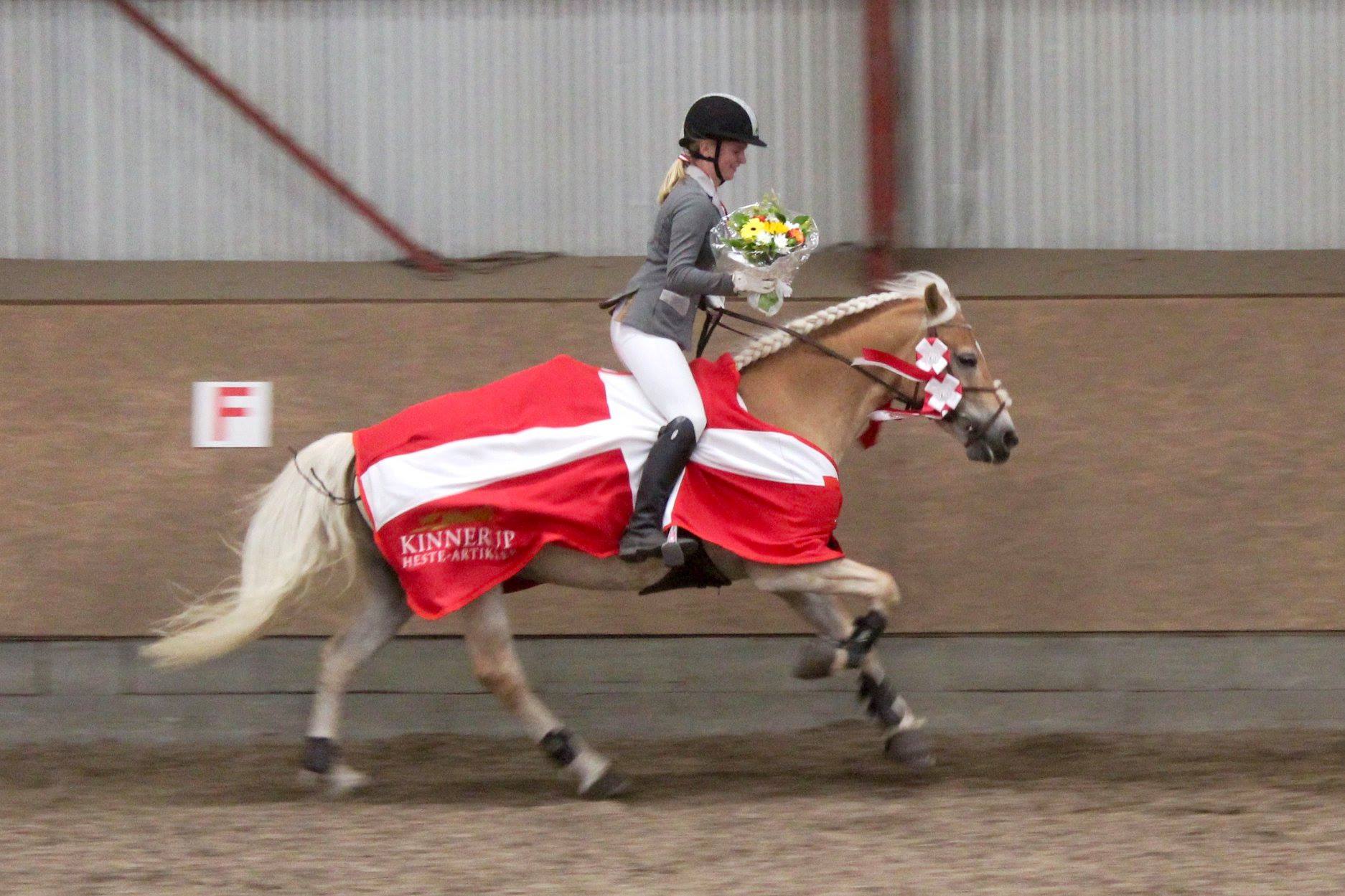 Haflinger DM 2019 Haflinger Sport Danmark